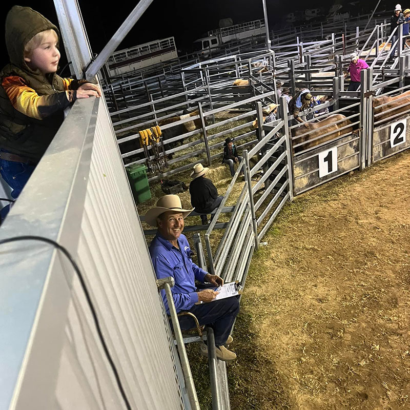 Mt Carbine Rodeo - www.visitmareebashire.org